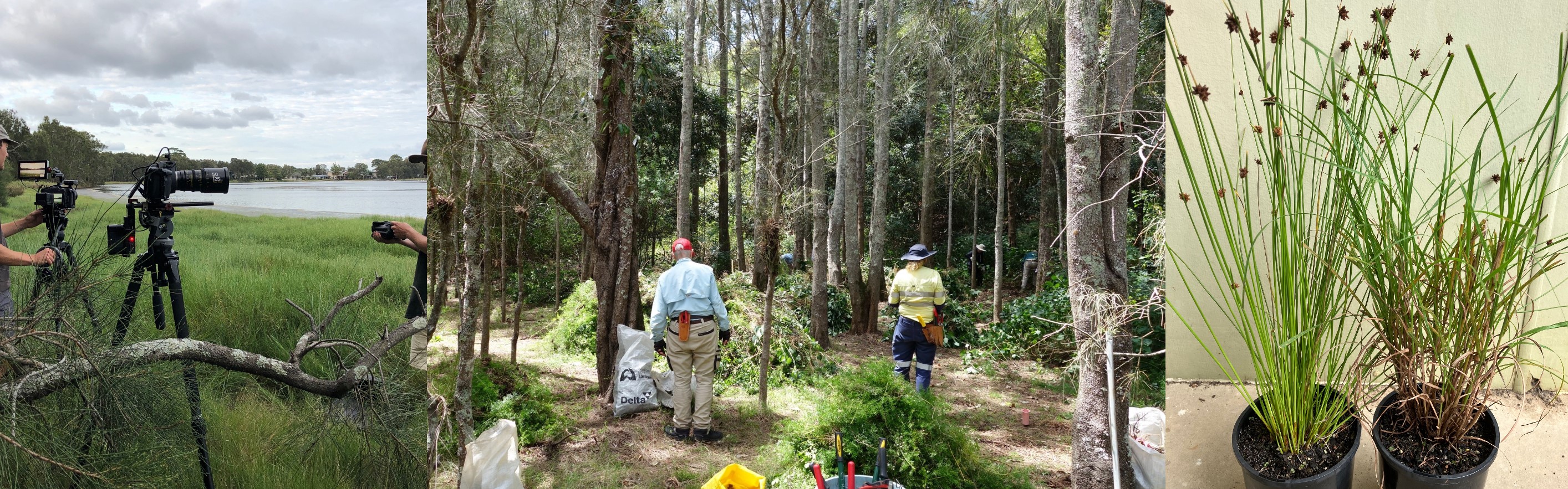 Team Leader update – March 2023 | Central Coast Council